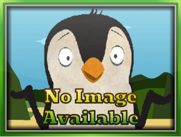 Rhino Survival | Pocket Zoo App Wiki | Fandom