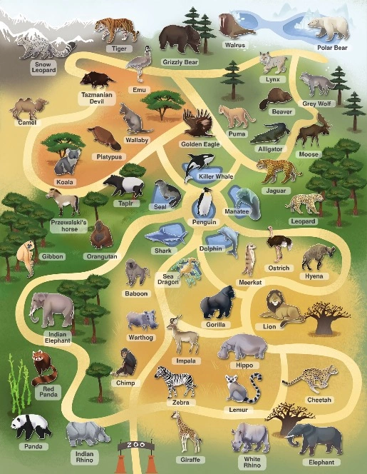 Map | Pocket Zoo App Wiki | Fandom