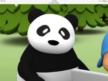 Panda | Pocoyo Wiki | Fandom