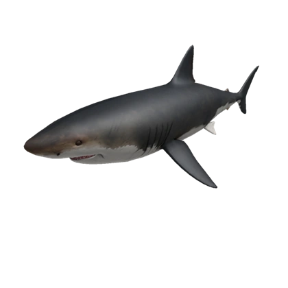 Sharks | Plates of Fate: Remastered Wiki | Fandom