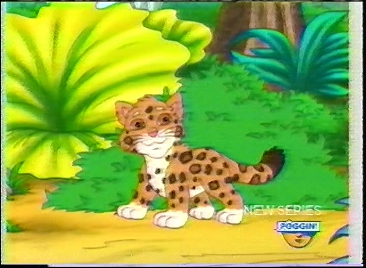 November 15, 2005 | Pogginstory Wiki | Fandom