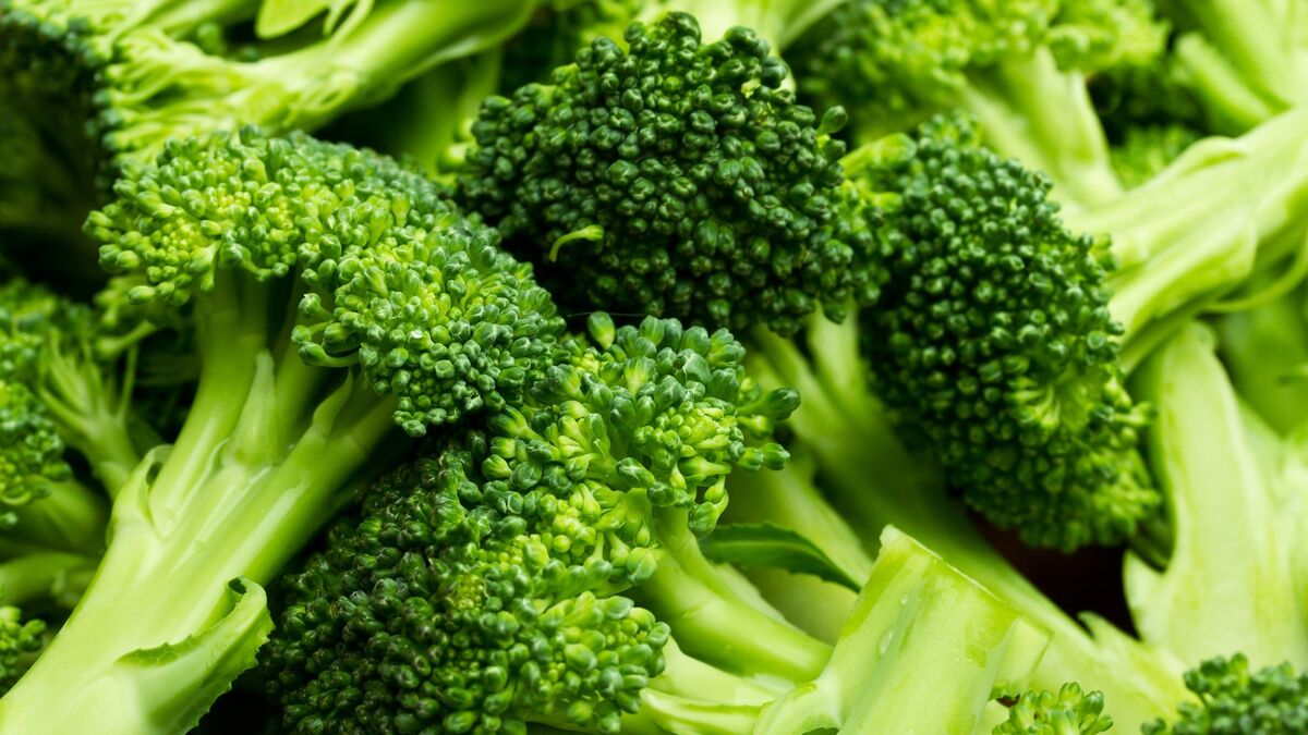 Broccoli Manipulation Pointless Superpower Wikia Fandom