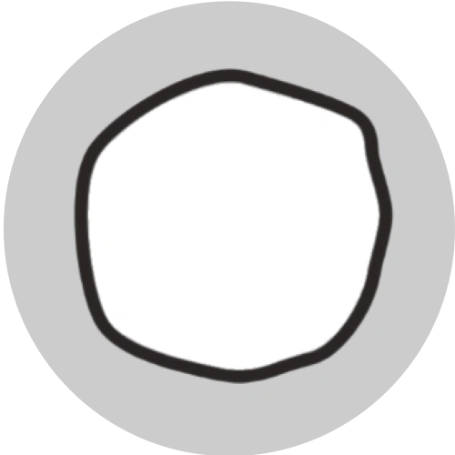 PointlessCircle Testing Wiki | Fandom