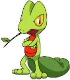 Treecko | Wiki Poke Rol | Fandom