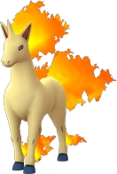 Gallopa (Pokémon GO) | Pokémon Wiki | Fandom