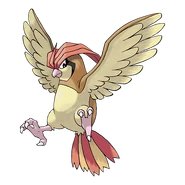 Tauboga | Pokémon Wiki | Fandom