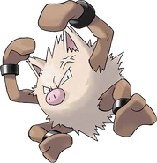 Rasaff | Pokémon Wiki | Fandom