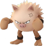 Rasaff (Pokémon GO) | Pokémon Wiki | Fandom