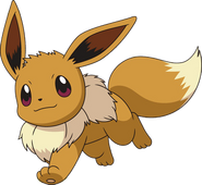 Evoli | Pokémon Wiki | Fandom