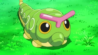 Caterpie | Wiki Pokédex | Fandom