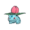 Ivysaur | Wiki Pokédex | Fandom