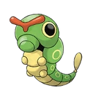 Metapod | Wiki Pokédex | Fandom