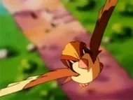 Pidgeot de Ash | Wiki Pokédex | Fandom