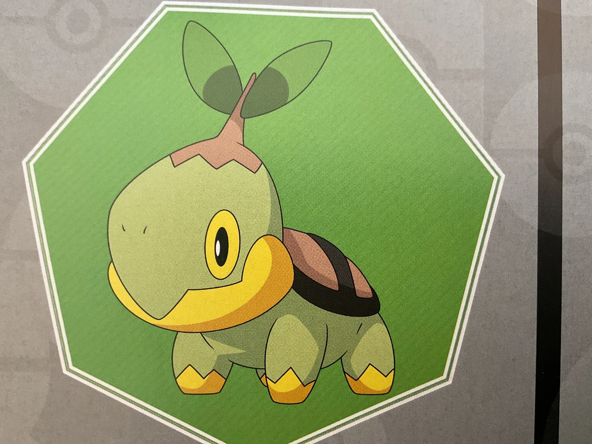 Tortipouss | Wiki Pokédex | Fandom