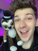 Poke | Pokediger1 Wiki | Fandom