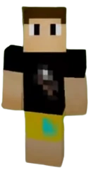 Poke | Pokediger1 Wiki | Fandom