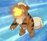 Pokémon Tamers | Poke Espectaculos Wiki | Fandom