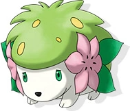 Shaymi | Poke Espectaculos Wiki | Fandom