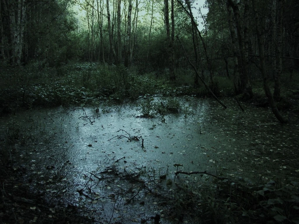 Bagna | PokeGame Wiki | Fandom