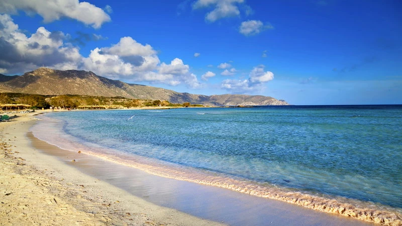 Plaża | PokeGame Wiki | Fandom