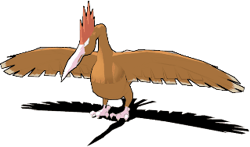 Fearow | Pokemon Generations Wiki | Fandom