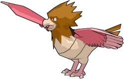 Spearow | Pokemon Generations Wiki | Fandom