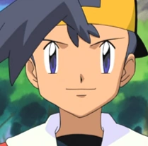 Alto Mando/MIEMBROS | Wiki PokeManga Español | Fandom
