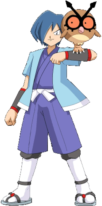 Falkner Vogel | Wiki PokeManga Español | Fandom