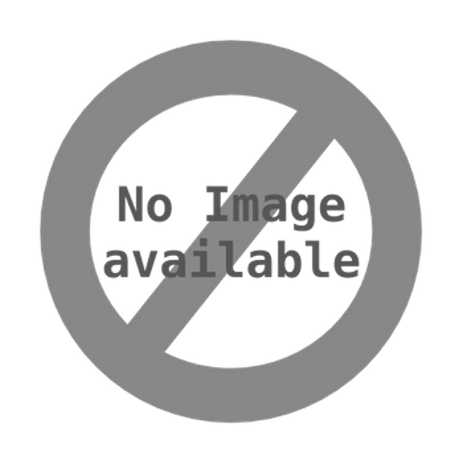 Madame Boss Arc🗡︎ | Wiki PokeManga Español | Fandom