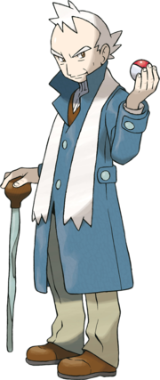 Mahogany Town Gym | PokéMeow Wiki | Fandom