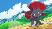 Zero Kirero/Weavile | Wiki Pokeminds | Fandom