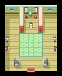 Fighting Dojo | PokeMMO Wiki | Fandom