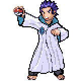 Team Celestial | Pokémon Alabaster Wiki | Fandom