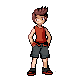 Robin | Pokémon Alabaster Wiki | Fandom
