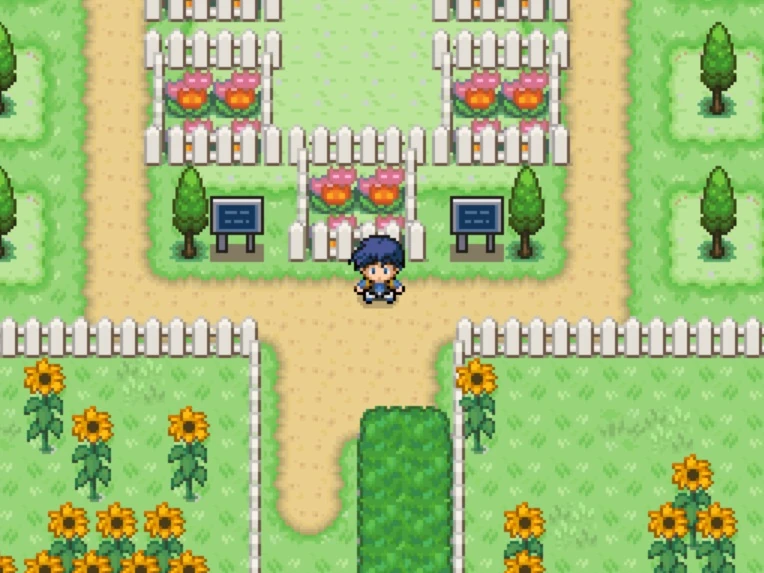 Route 301 | Pokémon Alabaster Wiki | Fandom