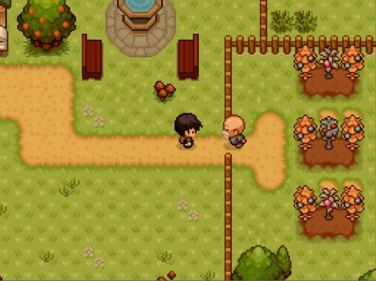 The Berry Farm | Pokémon Alabaster Wiki | Fandom