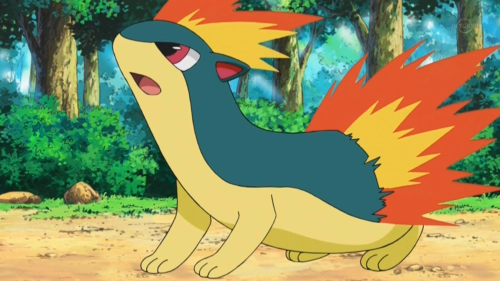 Quilava | POKEMON AND HAMTARO Wiki | Fandom