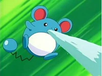 Marill | POKEMON AND HAMTARO Wiki | Fandom