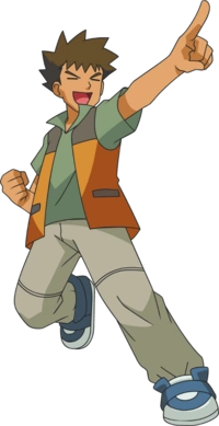 Brock | POKEMON AND HAMTARO Wiki | Fandom