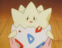 Togepi | POKEMON AND HAMTARO Wiki | Fandom