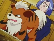 Growlithe (Growlie) | POKEMON AND HAMTARO Wiki | Fandom