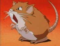 Raticate | POKEMON AND HAMTARO Wiki | Fandom