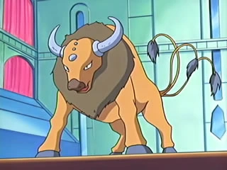 Tauros | POKEMON AND HAMTARO Wiki | Fandom