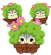 Cactus Brothers | POKEMON AND HAMTARO Wiki | Fandom