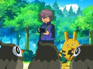 Paul's Pokedex | Pokemon Anime the whole series Wiki | Fandom