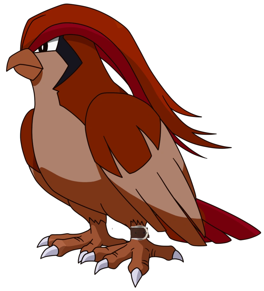Pidgeot Z | Pokemon Aqua Blue z and Fire red z Wiki | Fandom