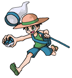 Safari | Pokemon Awful Wiki | Fandom