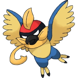 Falcaptain | Pokémon Azurite Wiki | Fandom