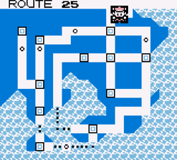 Route 25 | Pokemon Blue Kaizo Wiki | Fandom