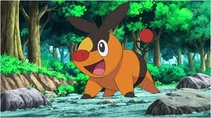 Tepig de Ash | Wiki Pokemon Branco e Preto | Fandom
